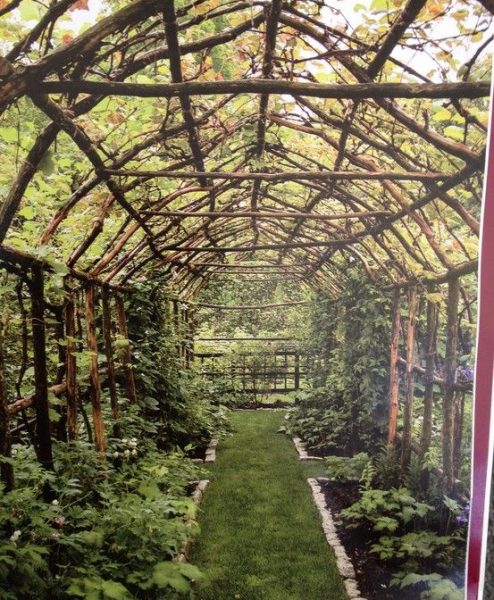 Amenajarea Unei Gradini de Vis. Sfaturi de avut in vedere - Tettu