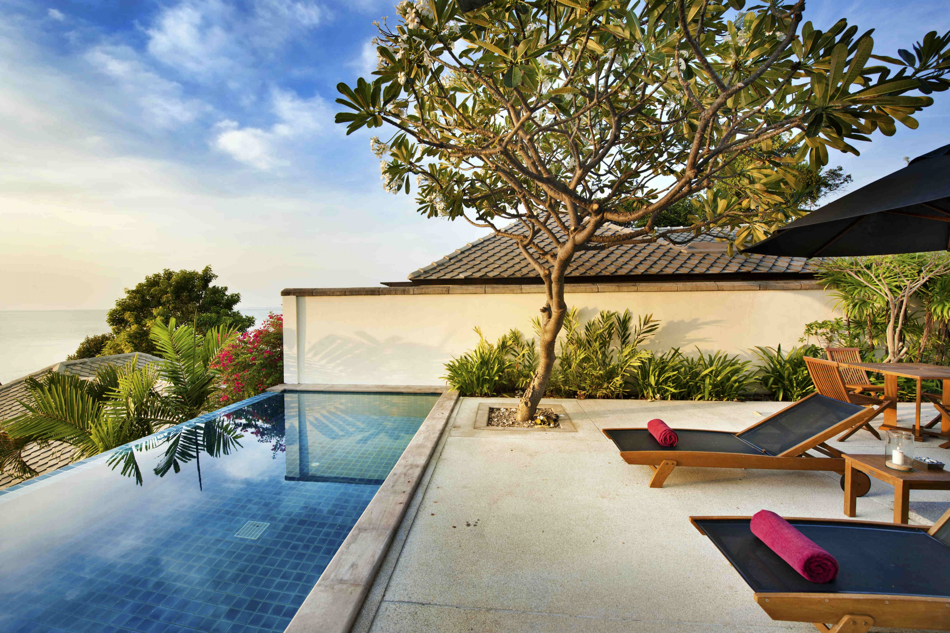 14 arbori ornamentali ideali pentru o curte mica