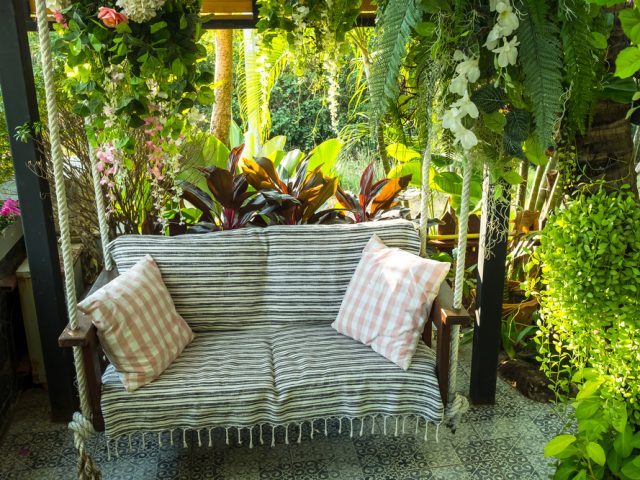 14 arbori ornamentali ideali pentru o curte mica