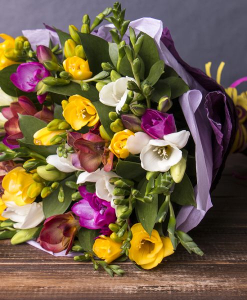 Tot ce trebuie sa stii despre cultivarea freziilor - Tettu.ro